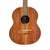 Cole Clark Little Lady 2 Mini Travel Acoustic/Electric Guitar - Redwoo ...