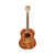 Cole Clark Little Lady 2 Mini Travel Acoustic/Electric Guitar - Redwoo ...
